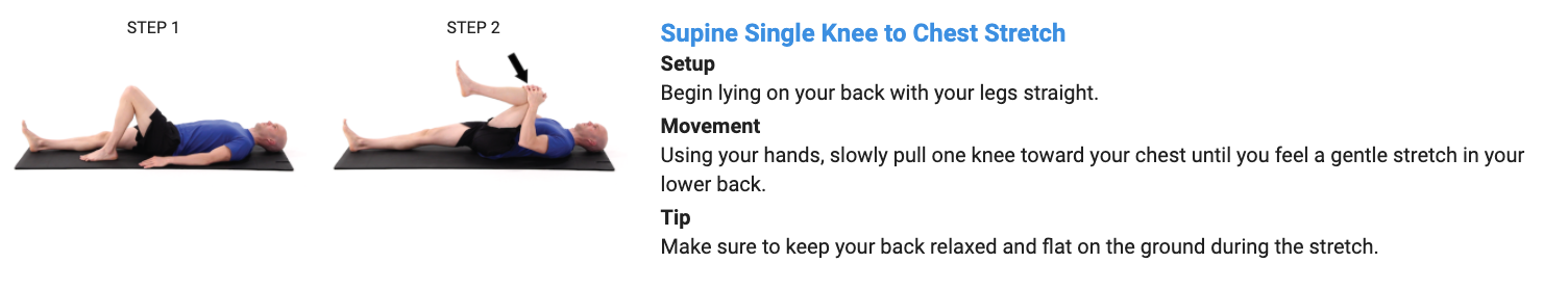 The Top 3 Exercises for Low Back Pain and Stiffness - KPT