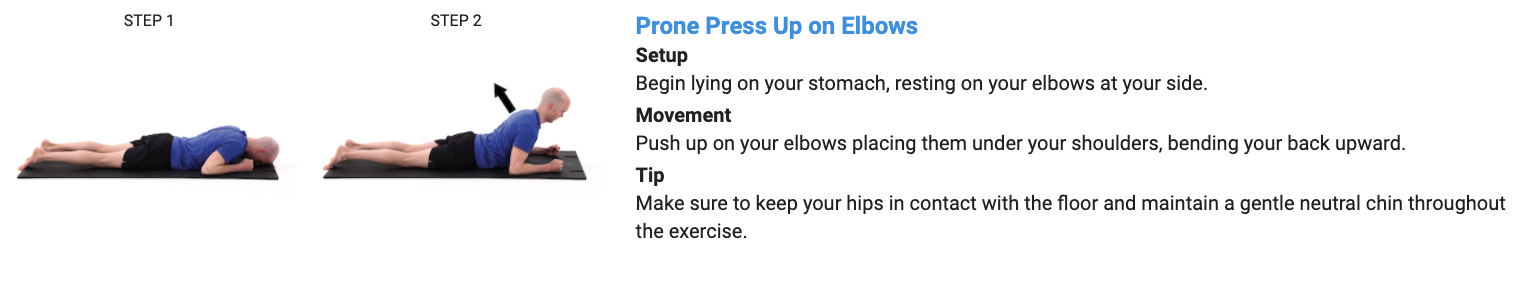 The Top 3 Exercises for Low Back Pain and Stiffness - KPT